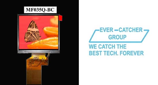 Connecting with Everbouquet